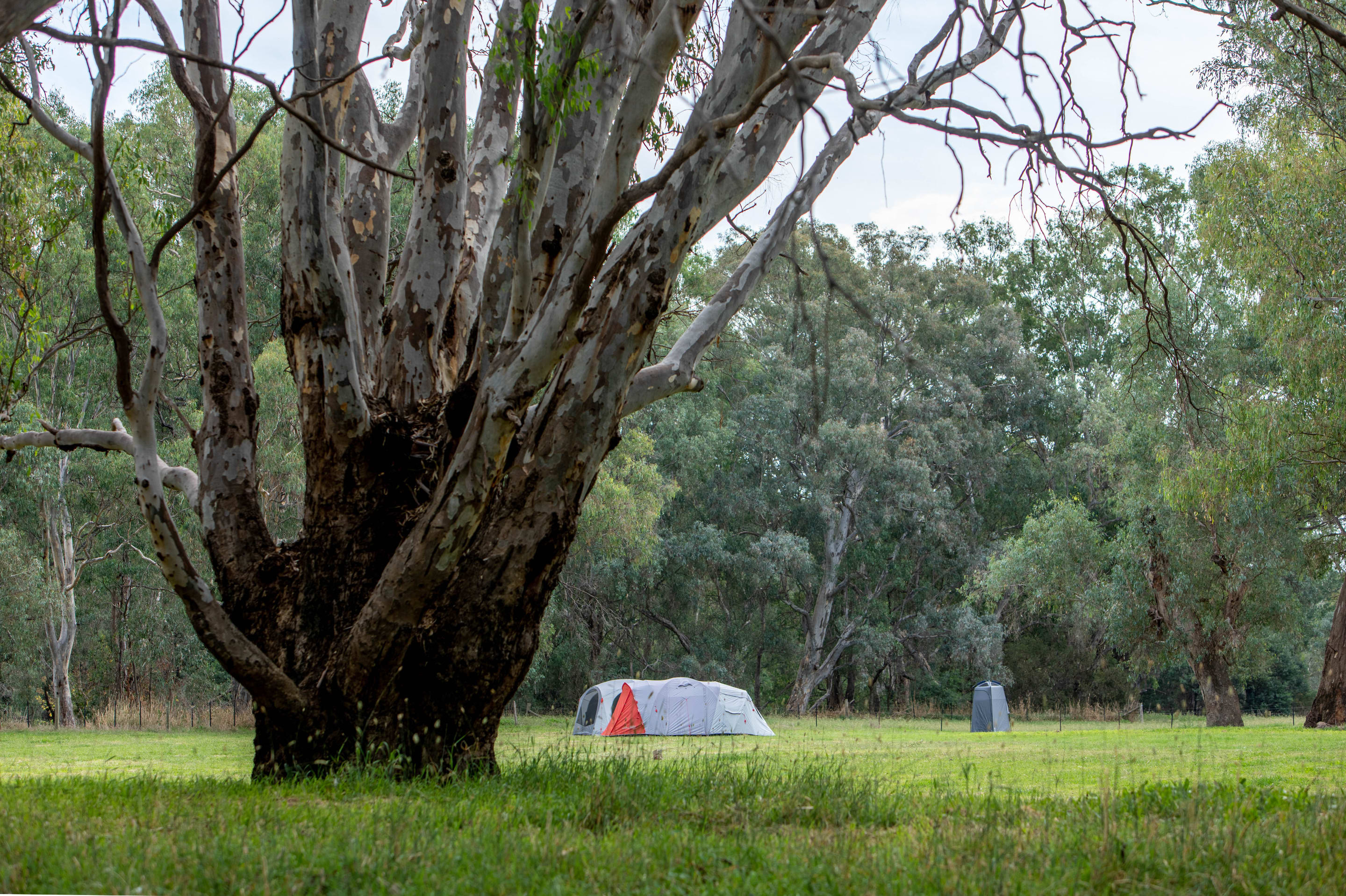 Victoria, Australia - Camping Advocacy Network